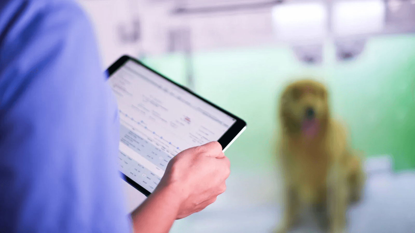 Seismi - Pioneering Animal Health & Sustainability Monitoring